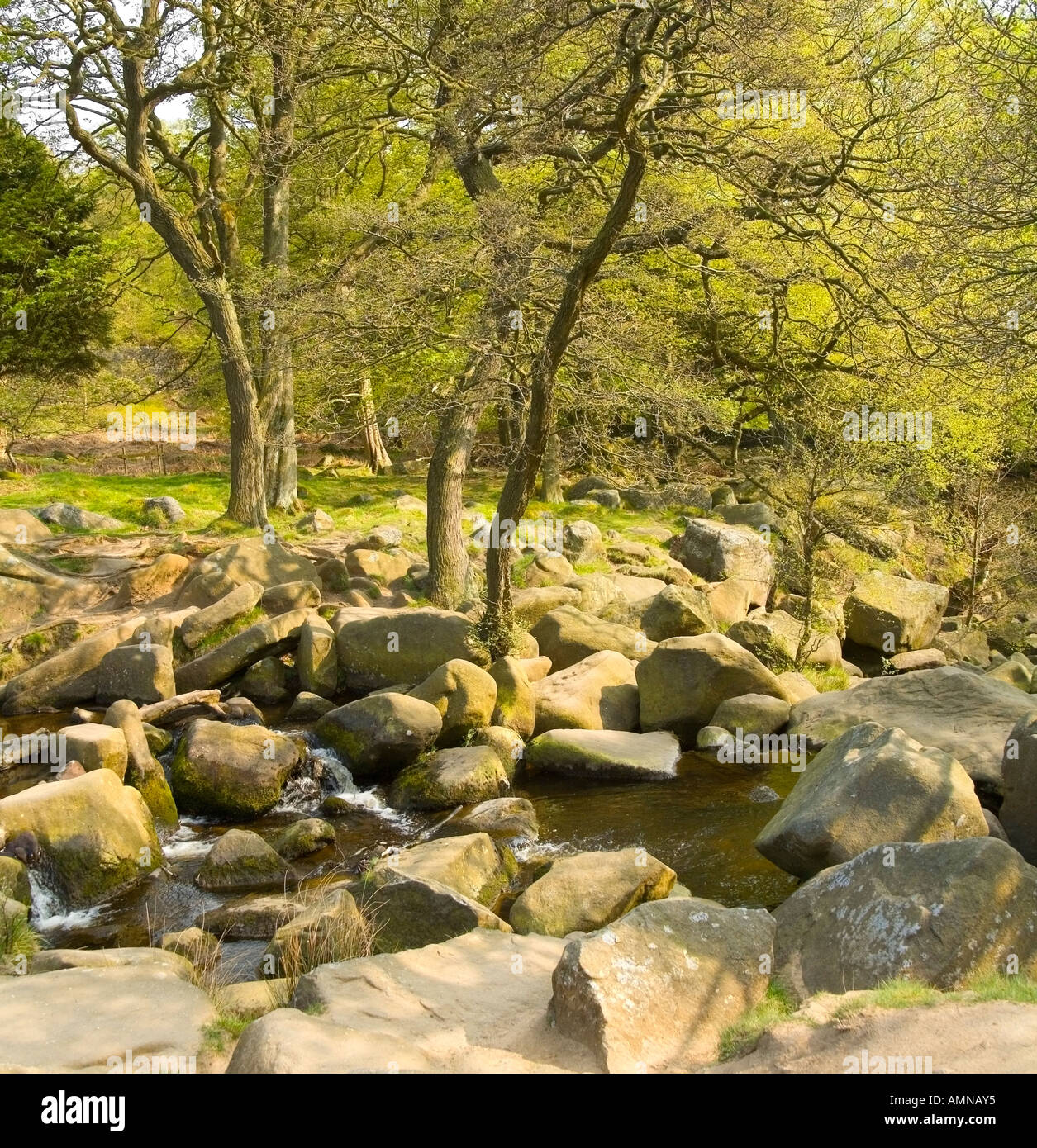 england derbyshire peak district national park longshaw estate padley ...