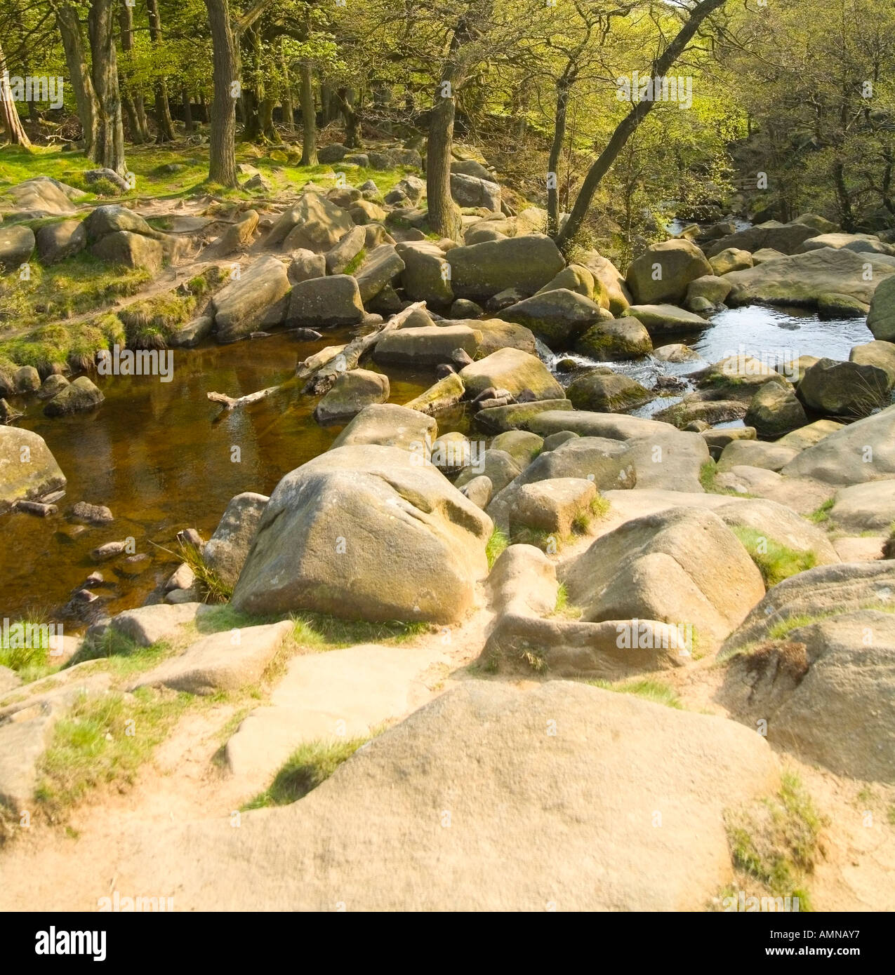 england derbyshire peak district national park longshaw estate padley ...