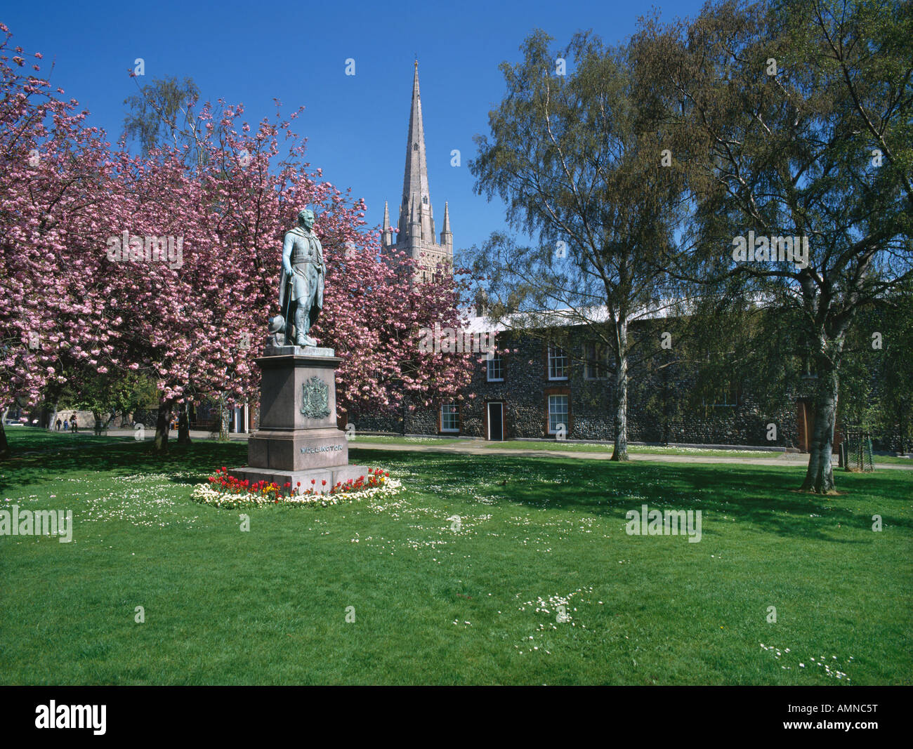Cathedral trees hi-res stock photography and images - Alamy