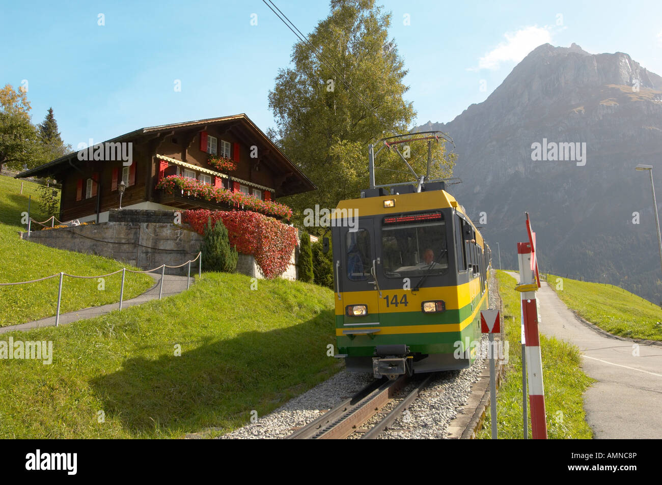 Swiss funicular railway train climbing through summer alpine pastures ...
