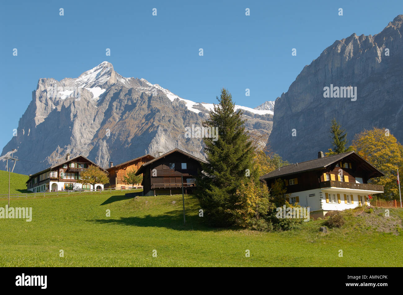 Swiss Chalets on high Alpine pastures looking towards the Wetterhom ...