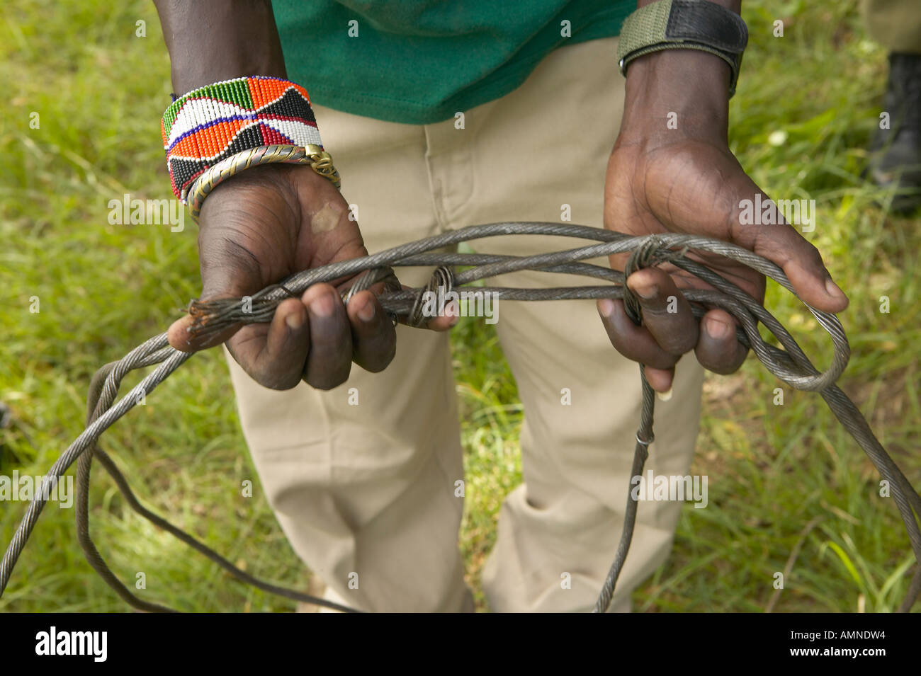 Animal traps africa hi-res stock photography and images - Alamy