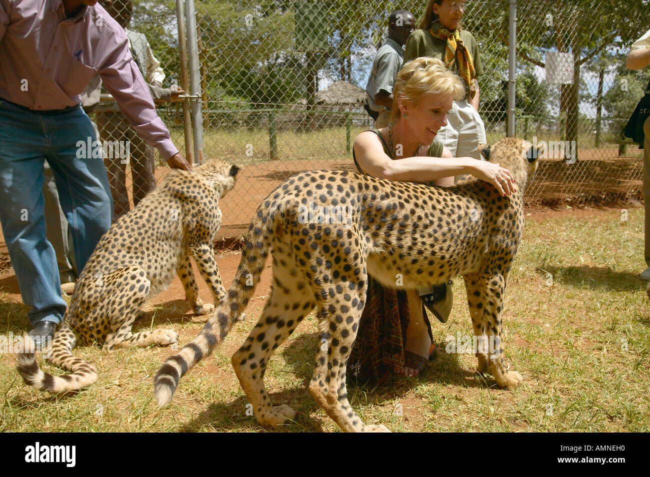 Kws hi-res stock photography and images - Alamy