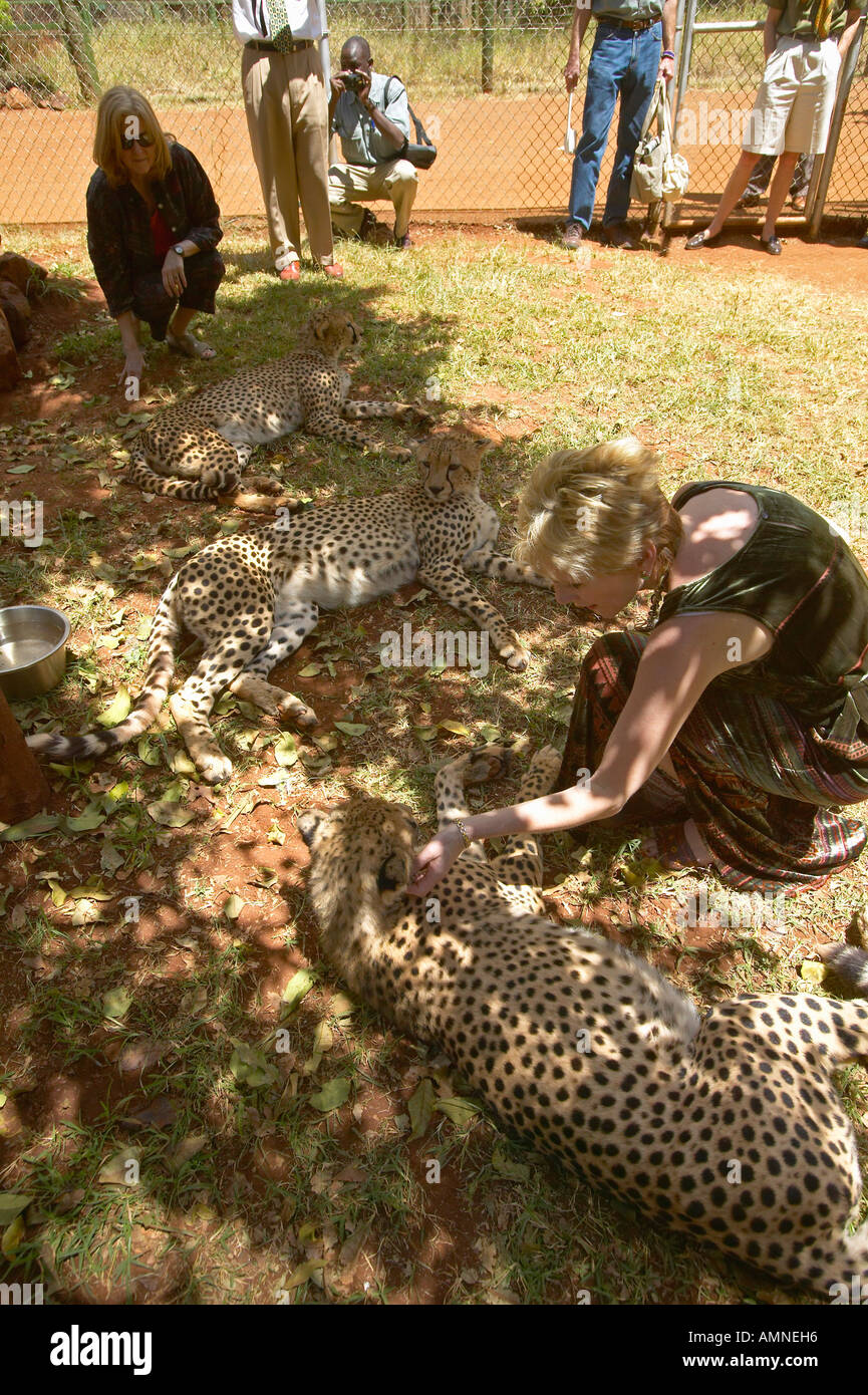Zoo animal examination hi-res stock photography and images - Alamy