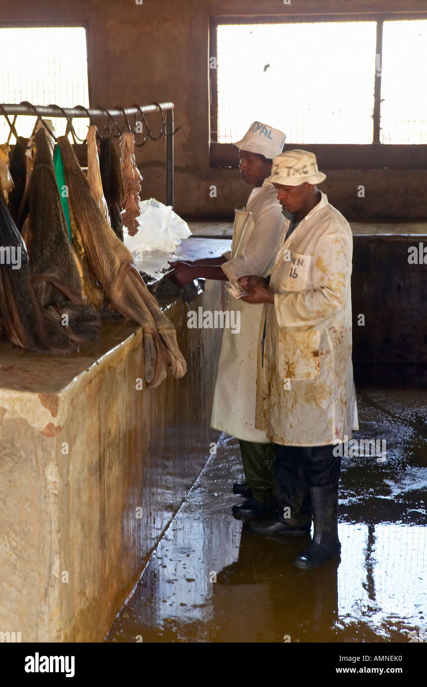 Interior slaughterhouse hi-res stock photography and images - Alamy