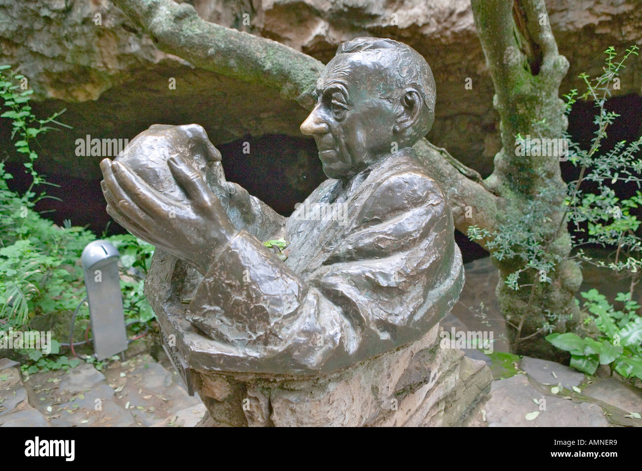 Statue of Dr Robert Broom looking at 2 8 million year old skull of Mrs ...