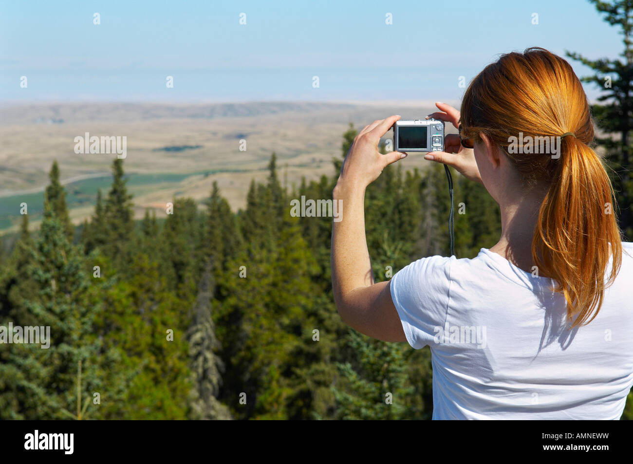 Woman Taking Pictures Stock Photo - Alamy