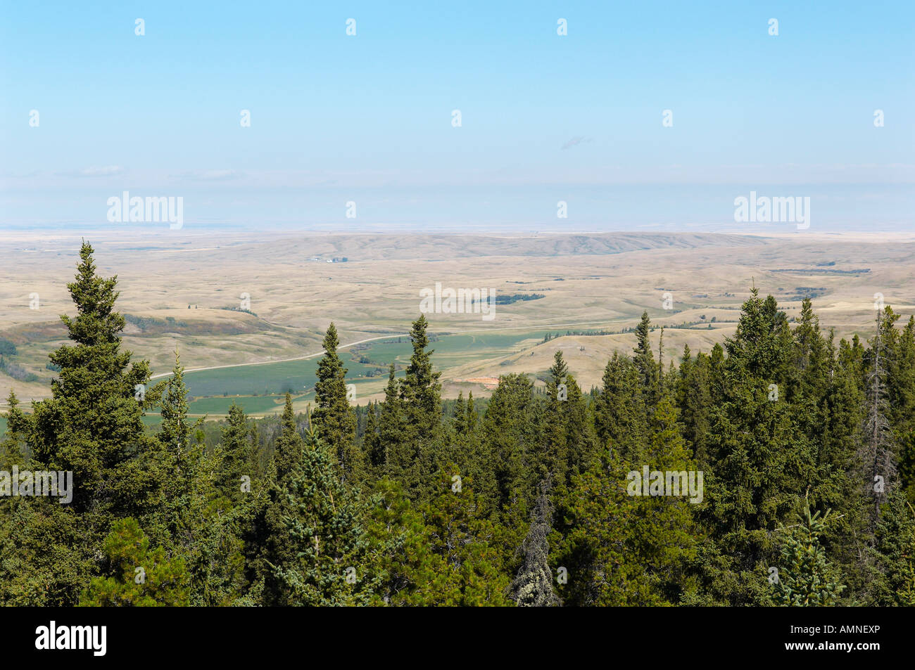 Overview of Landscape From Cypress Hills, Alberta, Canada Stock Photo ...