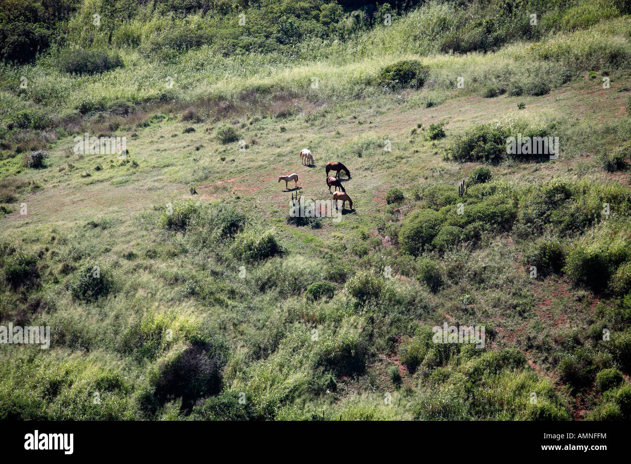 Praia brava buzios brazil hi-res stock photography and images - Alamy