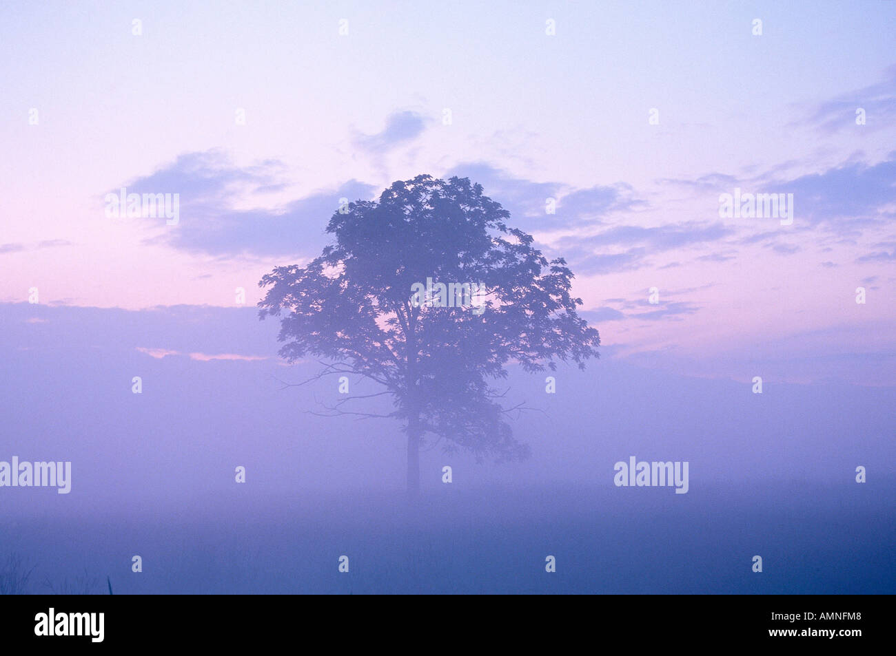 Griffith ontario hi-res stock photography and images - Alamy