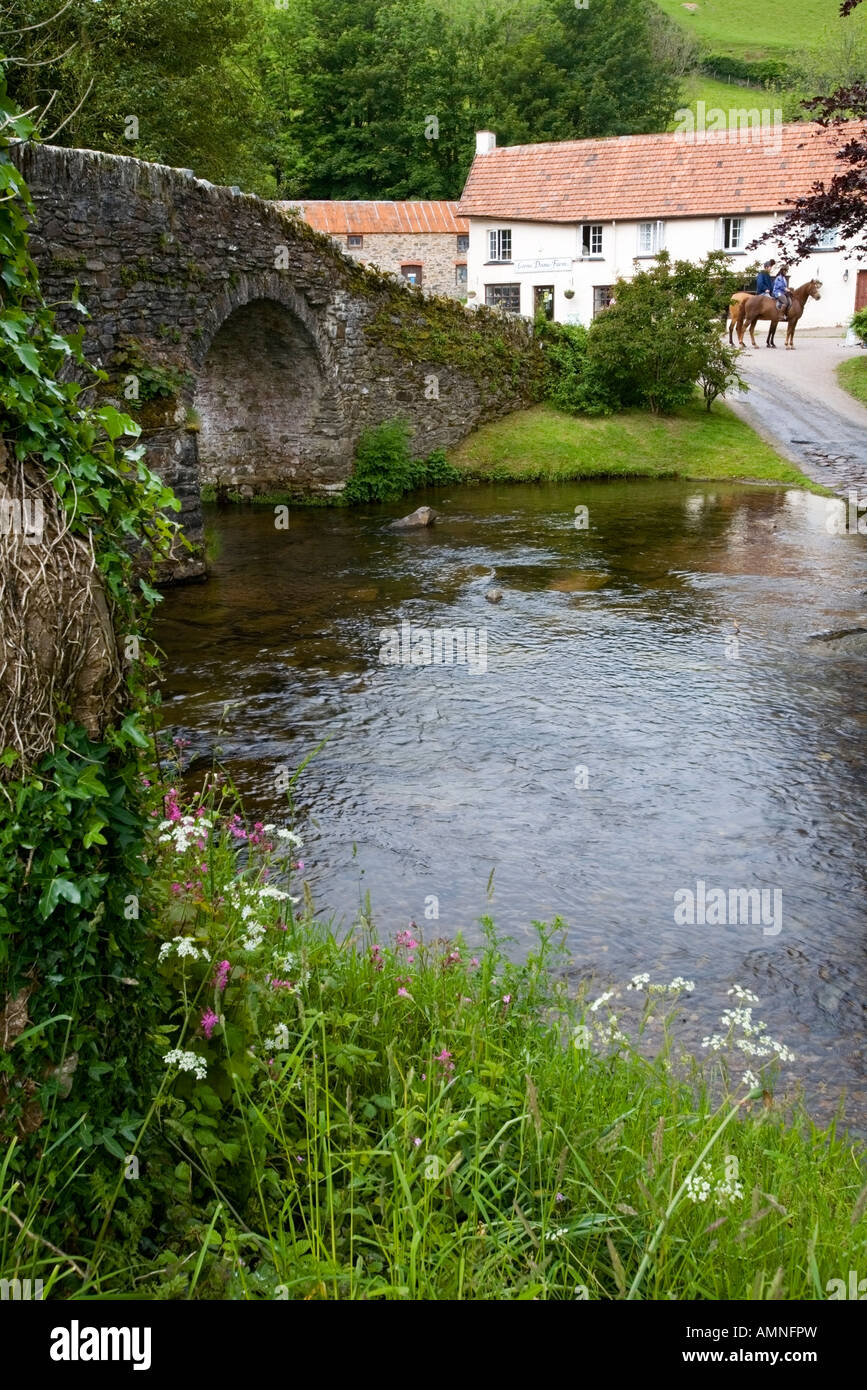 Lorna doone horse hi-res stock photography and images - Alamy