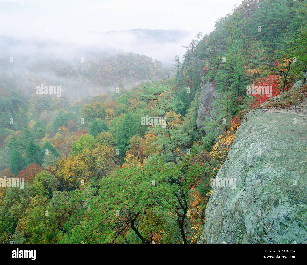 Daniel boone national forest hi-res stock photography and images - Alamy
