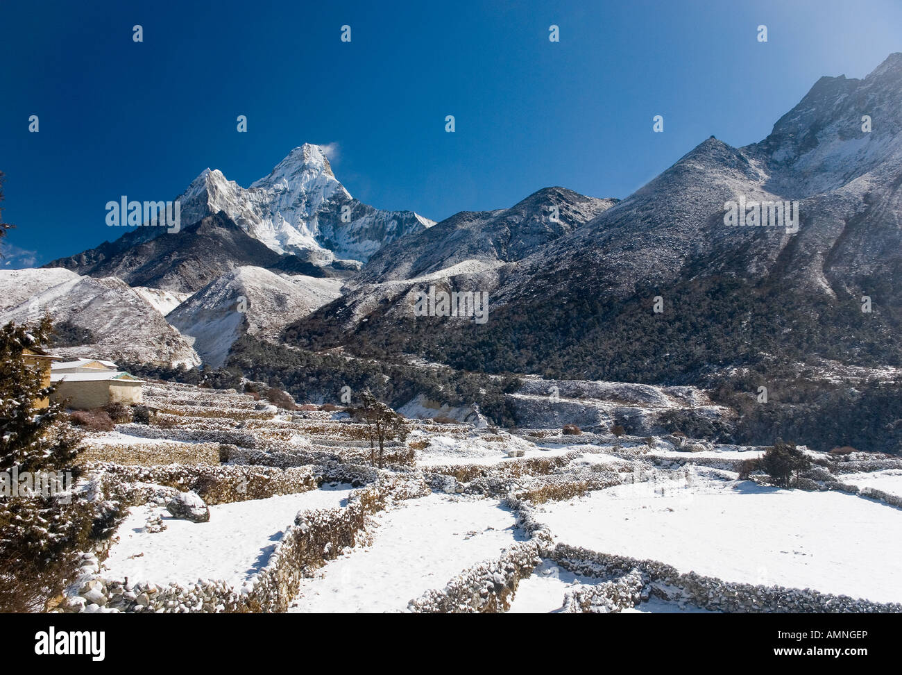 Ama Dablam stands proud overlooking the snow covered potato fields of ...