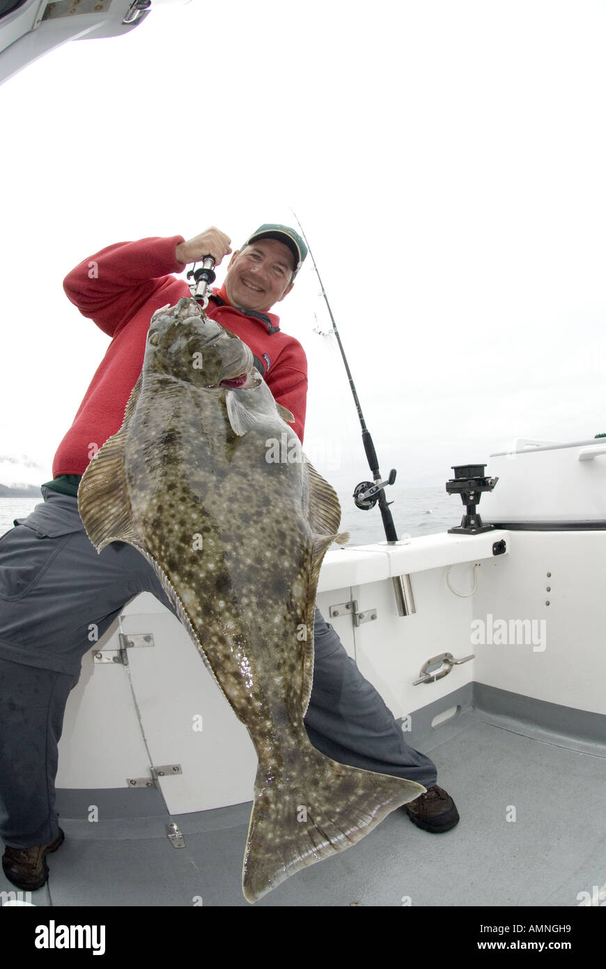 ALASKA COOK INLET HAPPY FISHERMAN HOLDING UP LARGE HALIBUT CATCH NEAR ...