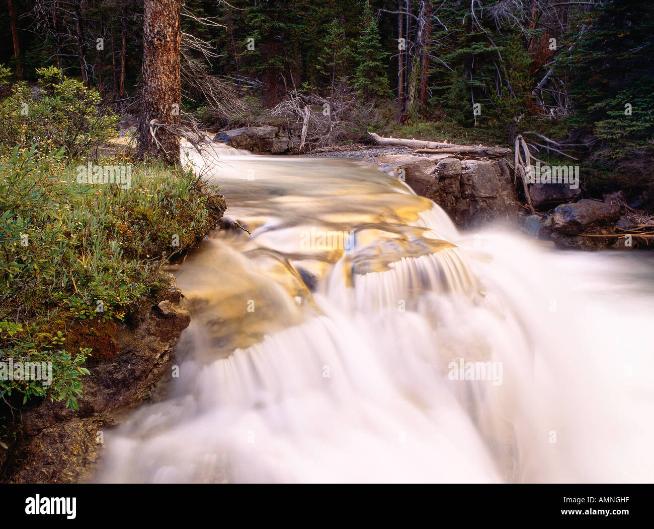 Nigel Creek, Banff National Park, Alberta, Canada Stock Photo - Alamy