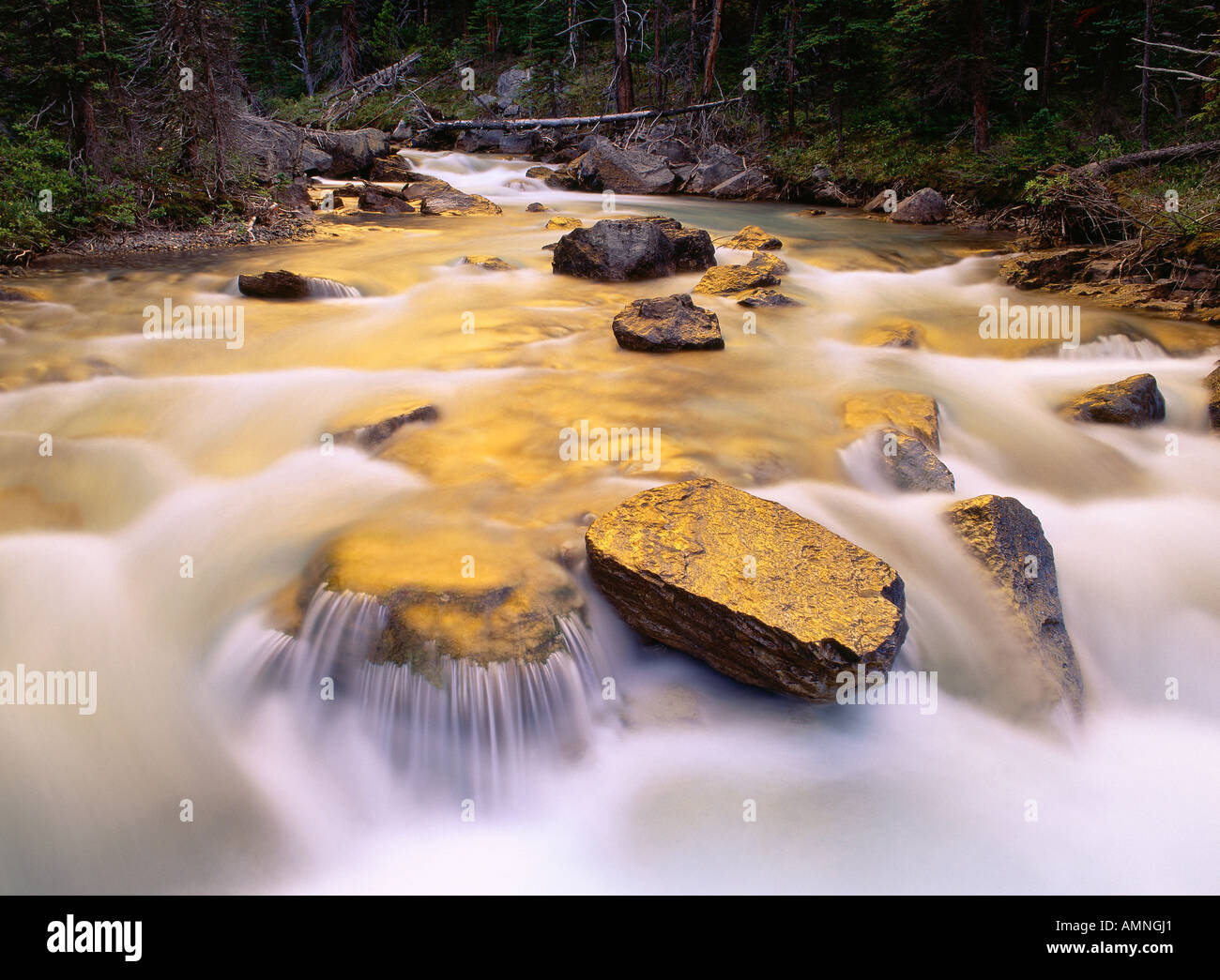 Nigel Creek, Banff National Park, Alberta, Canada Stock Photo - Alamy