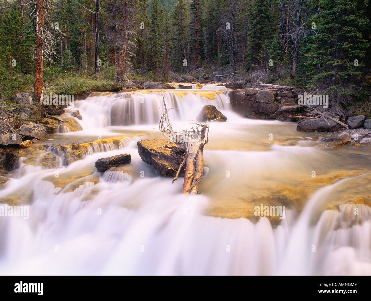 Nigel Creek, Banff National Park, Alberta, Canada Stock Photo - Alamy