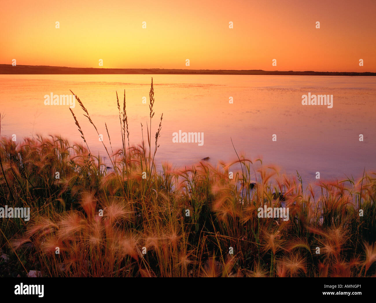 Saskatoon island park hi-res stock photography and images - Alamy
