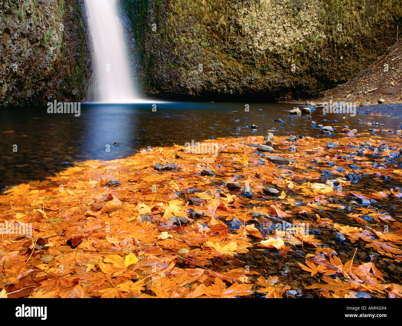 Autumn, Base of Multnomah Falls, Columbia River Gorge, Oregon, USA ...
