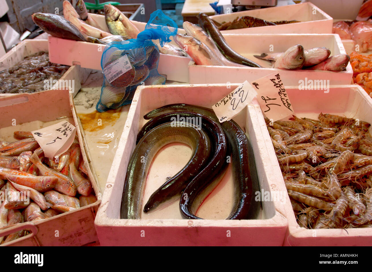 Fish for eels hi-res stock photography and images - Alamy