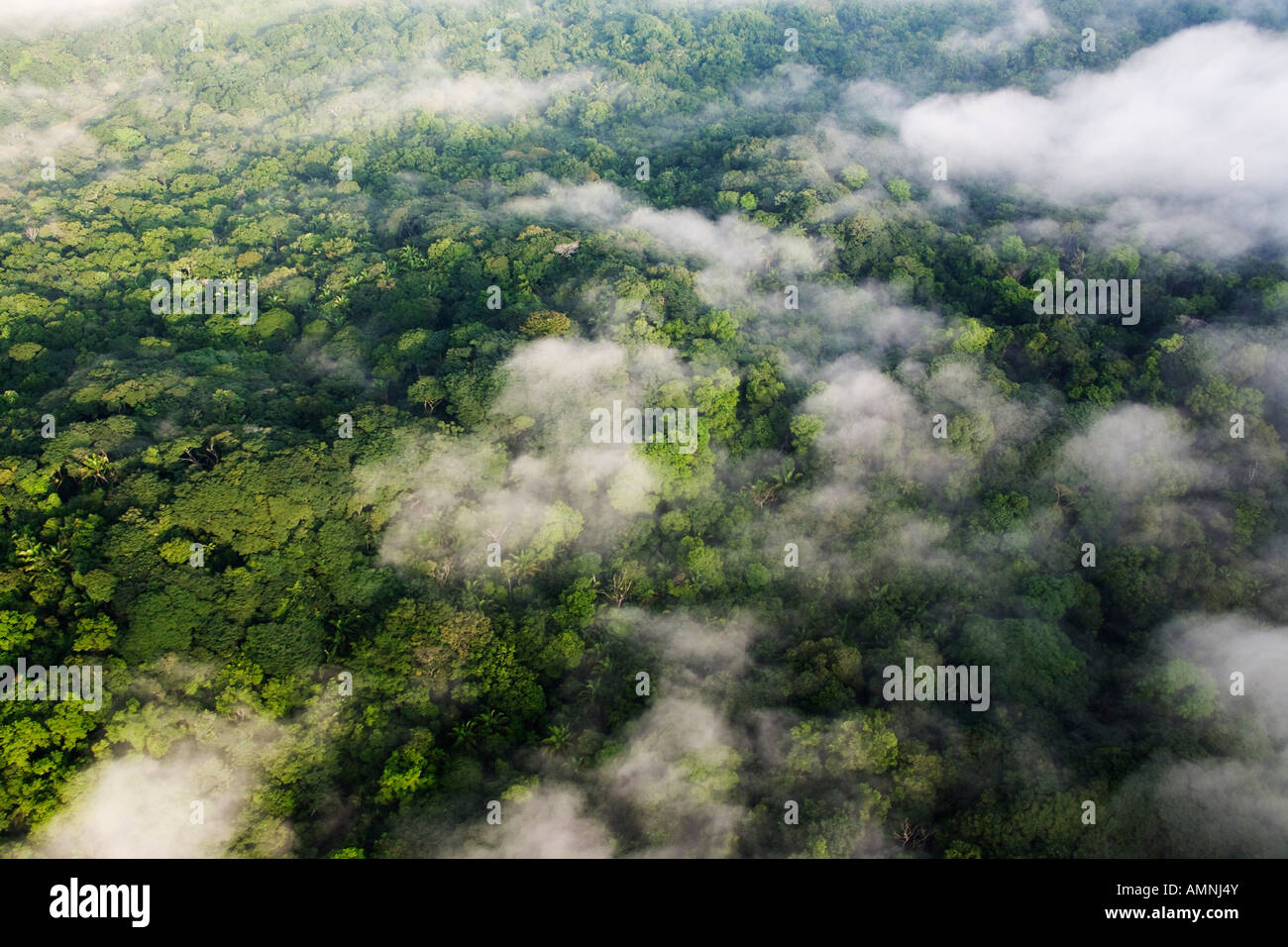 Mist over tropical rainforest hi-res stock photography and images - Alamy