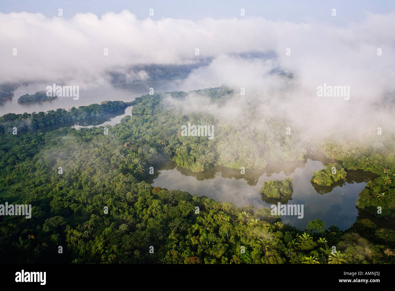 Rainforest along the Panama Canal Panama Stock Photo - Alamy