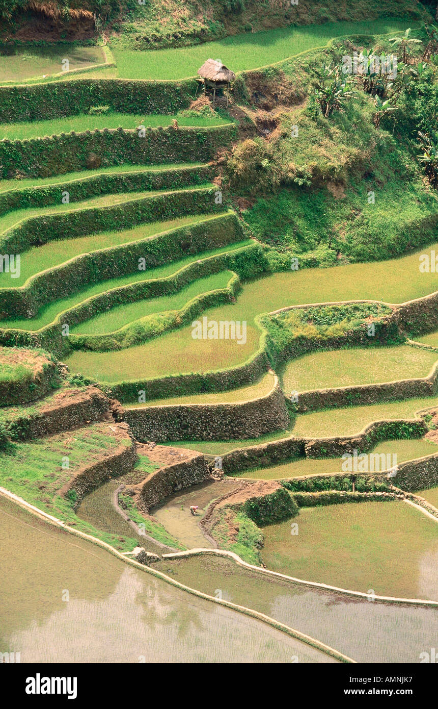 Birds eye view rice terraces hi-res stock photography and images - Alamy
