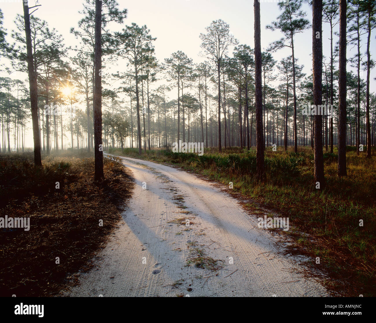 Florida scenic byway hi-res stock photography and images - Alamy