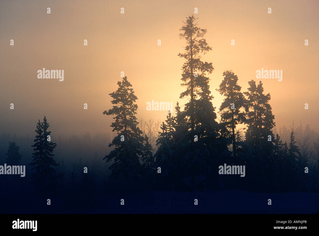 Ice Fog, Yukon, Canada Stock Photo - Alamy