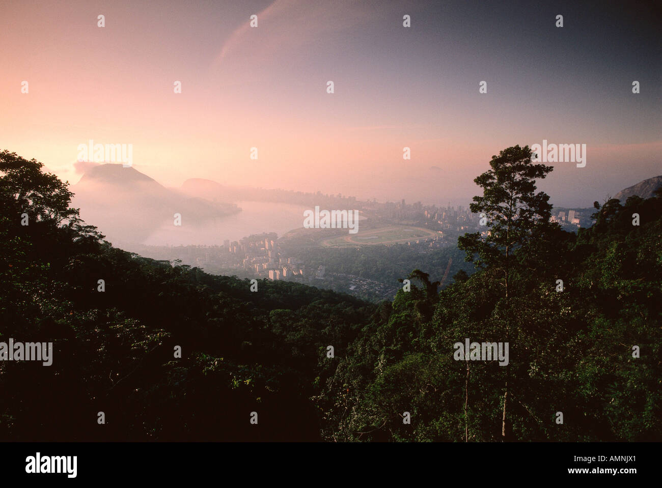 Dawn forest scene brazil hi-res stock photography and images - Alamy