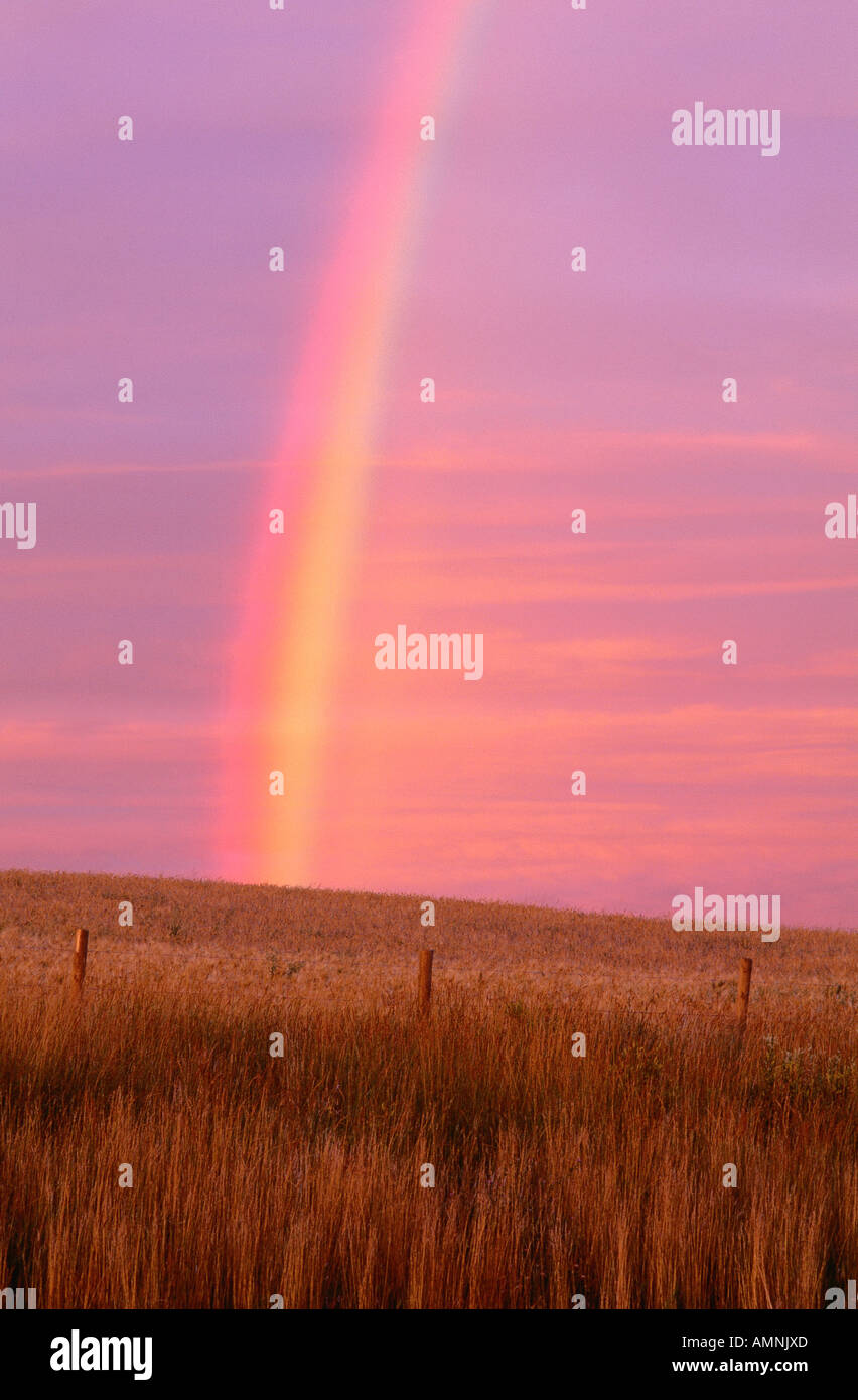 Rainbow, British Columbia, Canada Stock Photo - Alamy