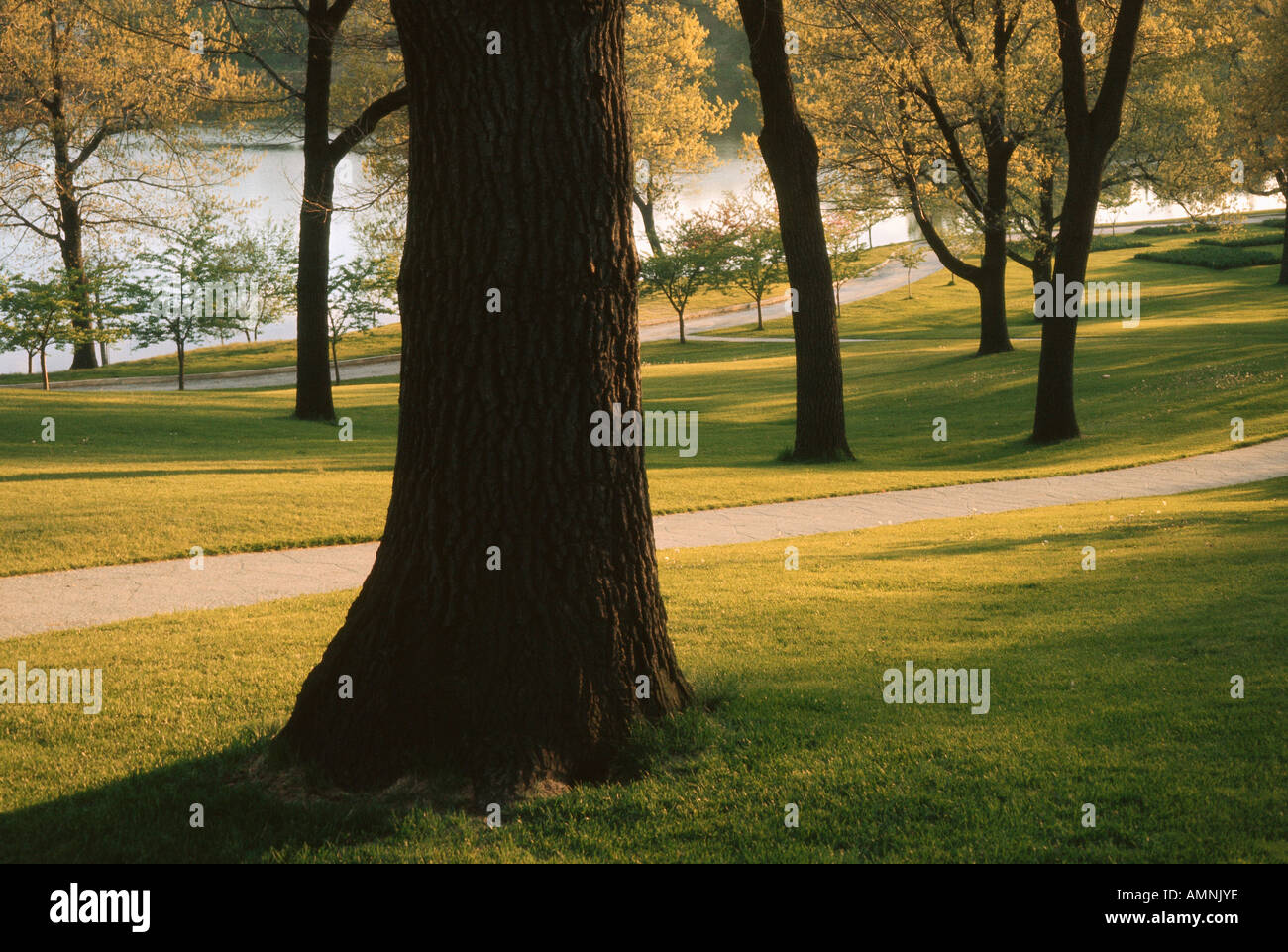 Toronto park spring pond hi-res stock photography and images - Alamy