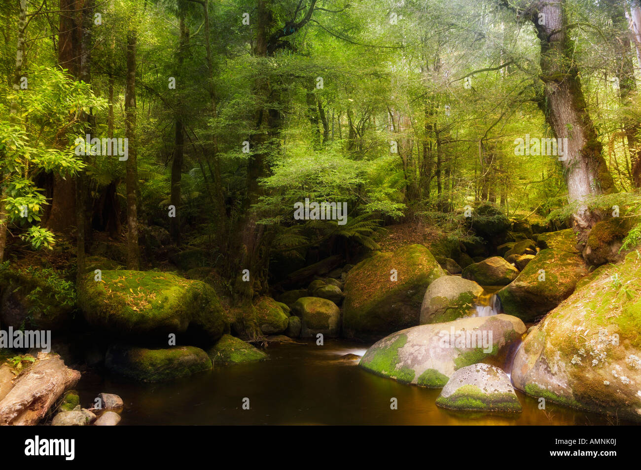 Stream in Yarra Ranges National Park, Victoria, Australia Stock Photo ...