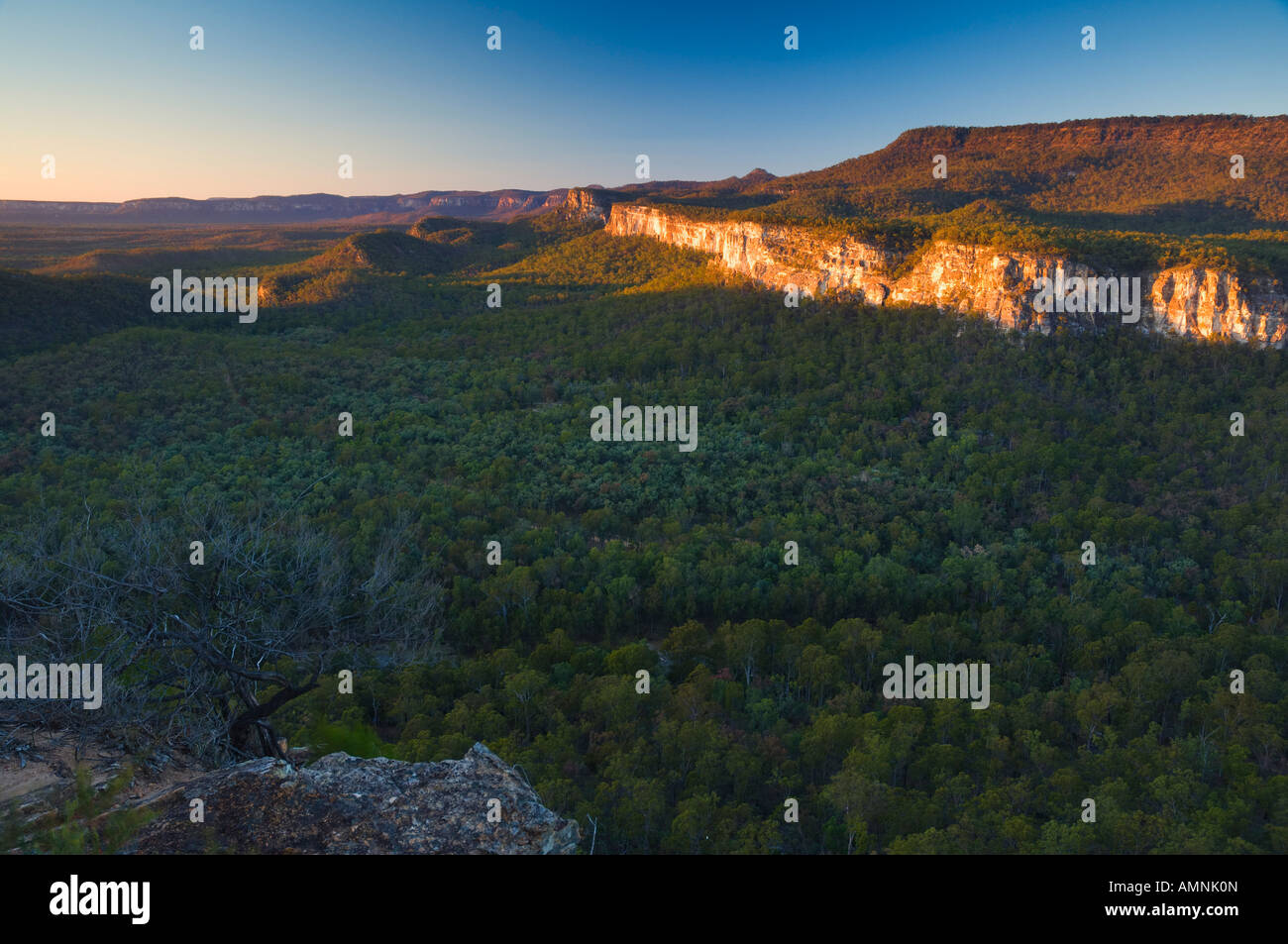 Carnarvon Gorge, Carnarvon National Park, Queensland, Australia Stock ...