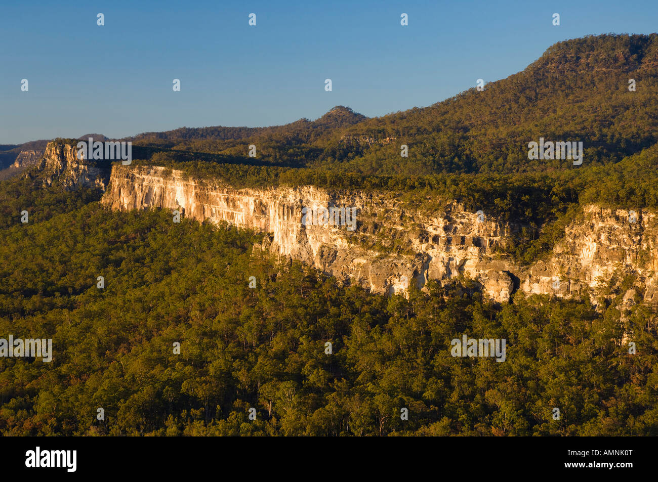 Carnarvon Gorge, Carnarvon National Park, Queensland, Australia Stock ...