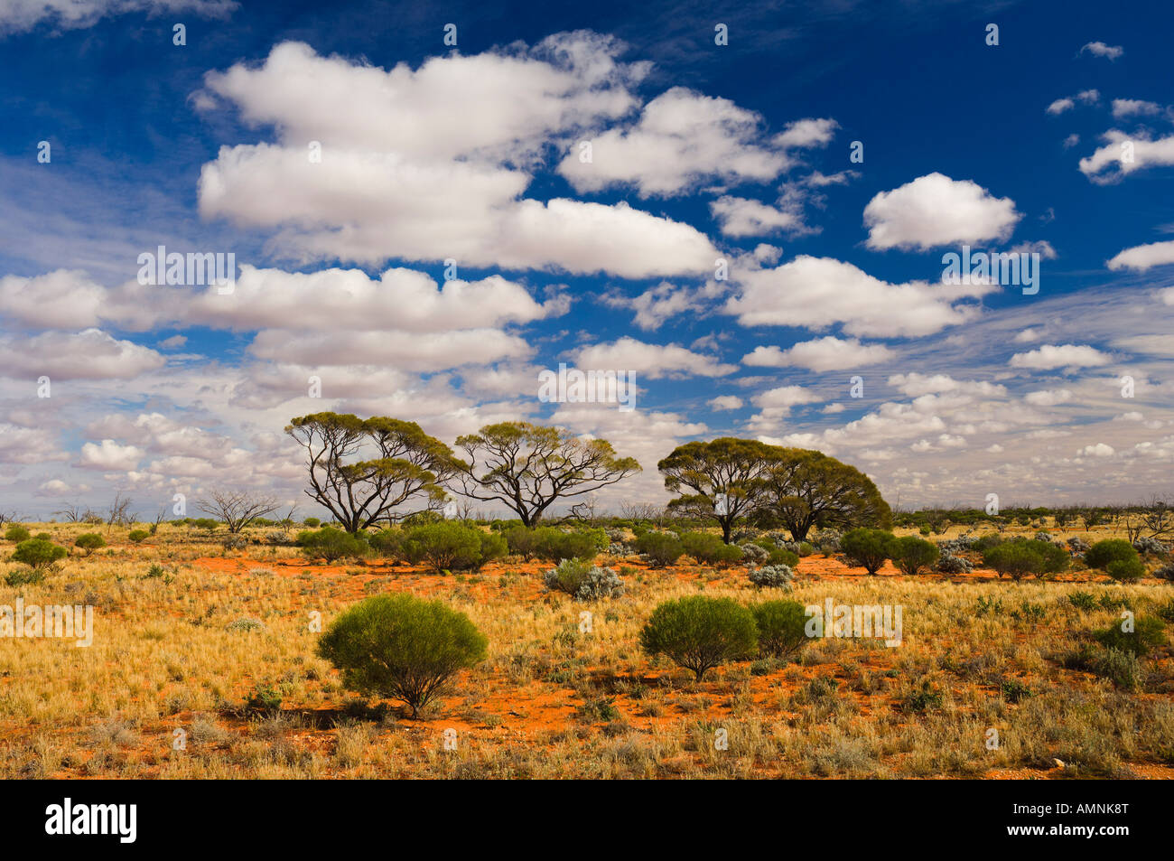 Australian Outback, Northern Territory, Australia Stock Photo - Alamy