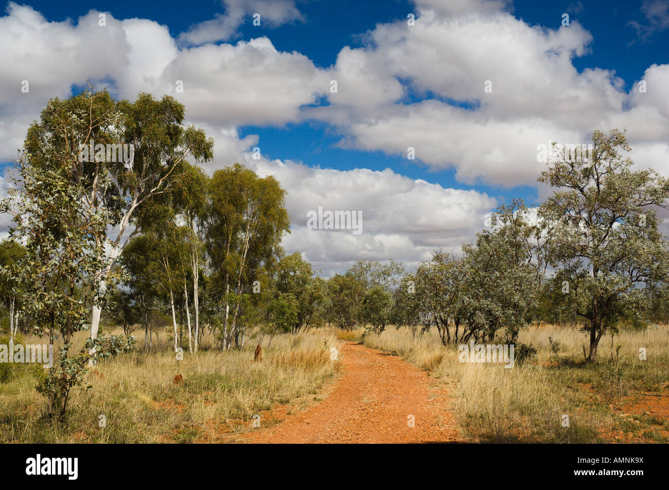 Dirt Road in Australian Outback, Queensland, Australia Stock Photo - Alamy