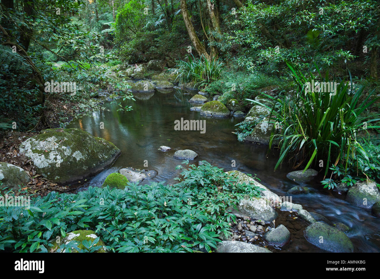 Border ranges national park hi-res stock photography and images - Alamy