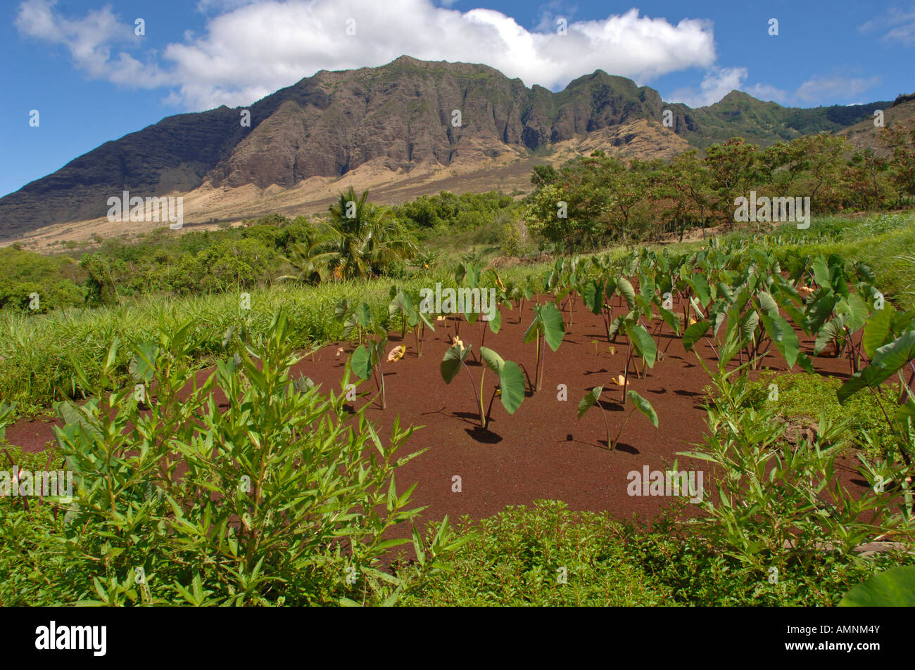 Waianae Mountain, Oahu, Hawaii Stock Photo - Alamy