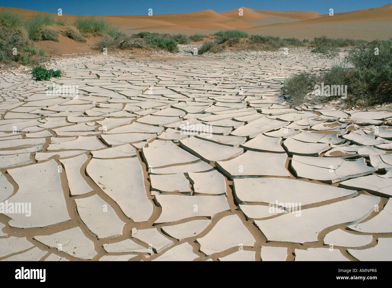 Dry Mud Patterns in Desert, Sossusvlei, Namibia Stock Photo - Alamy