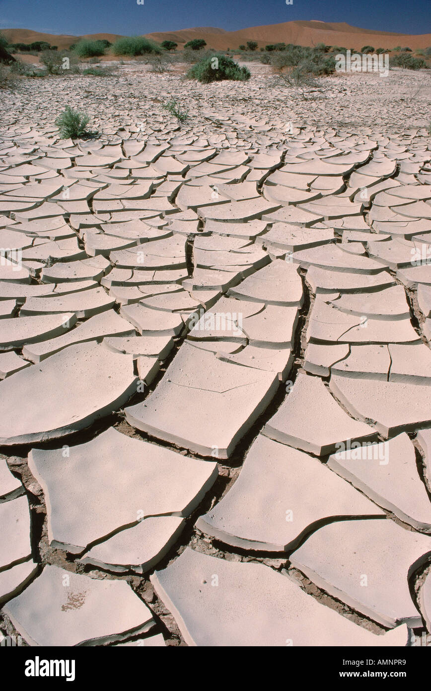 Dry Mud Patterns in Desert, Sossusvlei, Namibia Stock Photo - Alamy