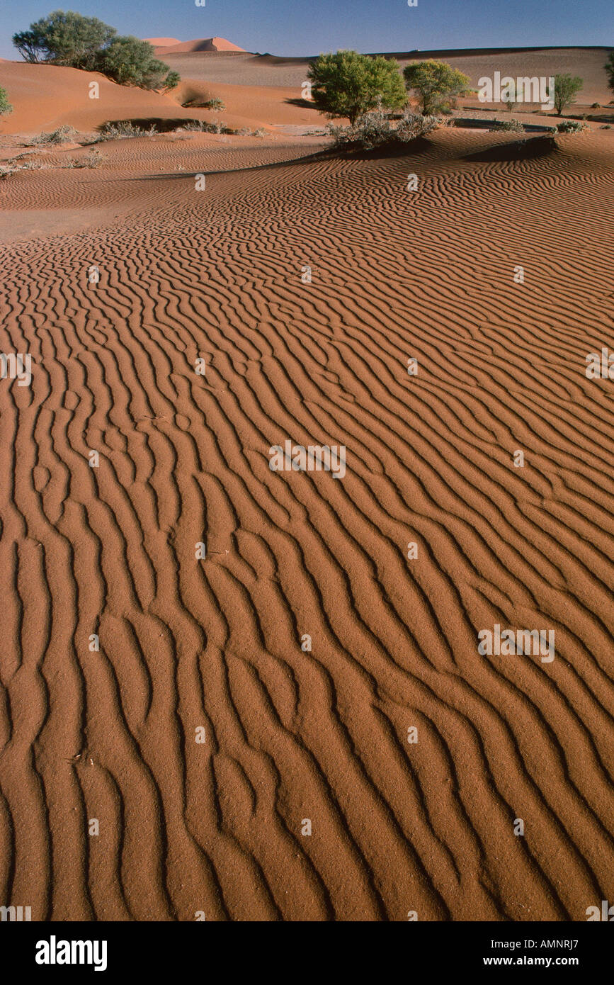 Pattern in Desert Sand, Namibia Stock Photo - Alamy
