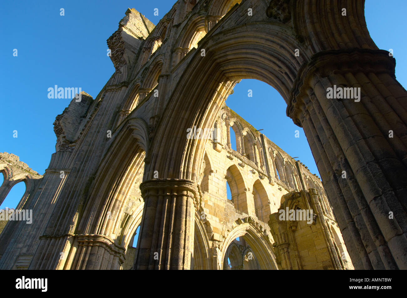 Main aisle with gothic arches and windows, Rievaulx Abbey, North ...
