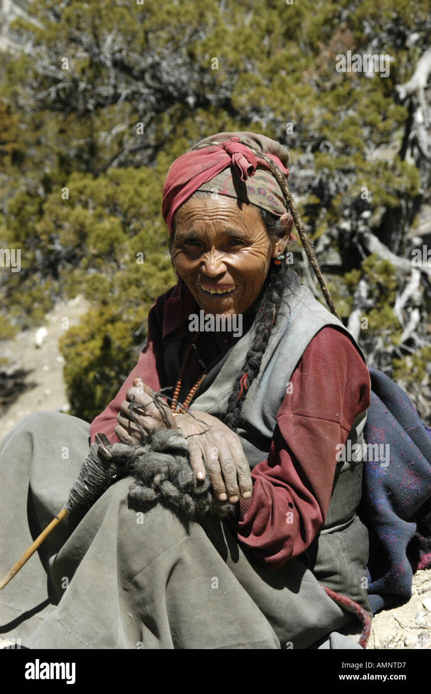 Friendly Tibetan woman is spinning wool with a spindle Nar Phu ...