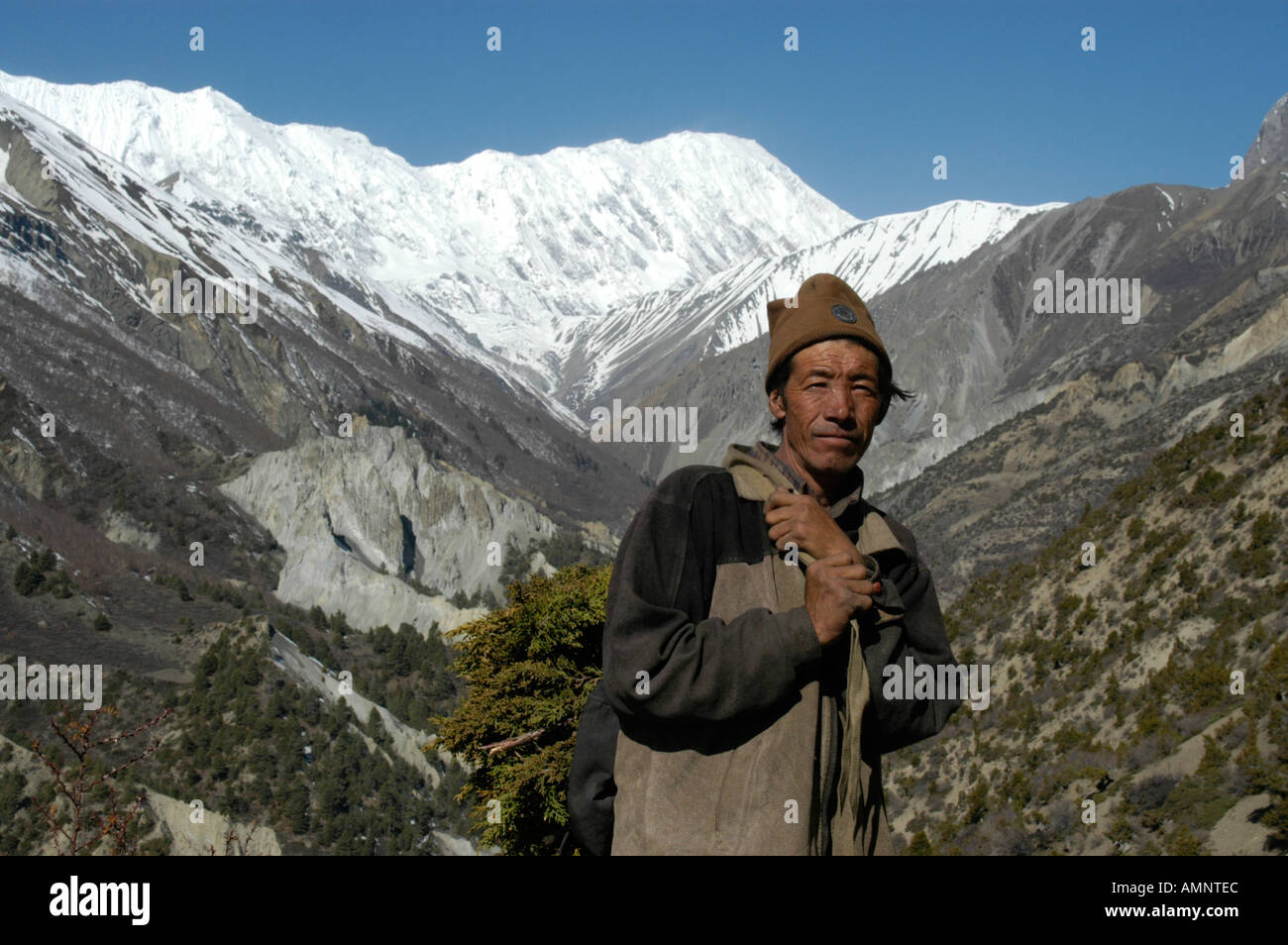 Man carries branches valley of the Khangsar Khola with ice capped ...