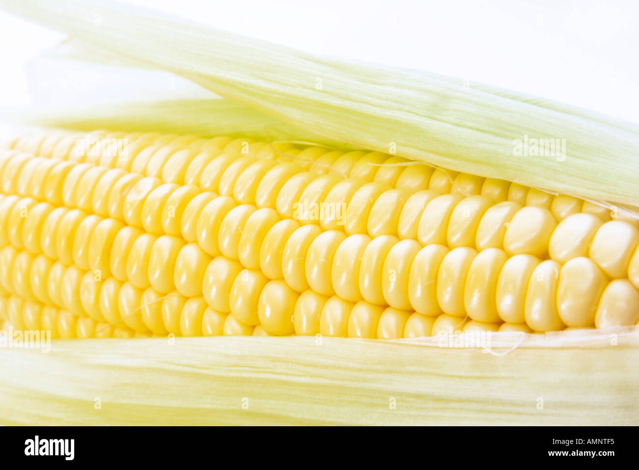 Corn cob without the corn hi-res stock photography and images - Alamy