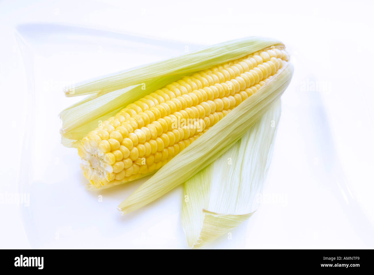 Corn cob, close-up Stock Photo - Alamy