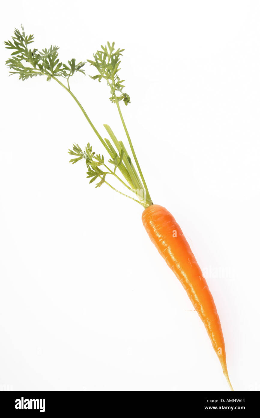 one fresh carrot, cut-out, white background Stock Photo - Alamy