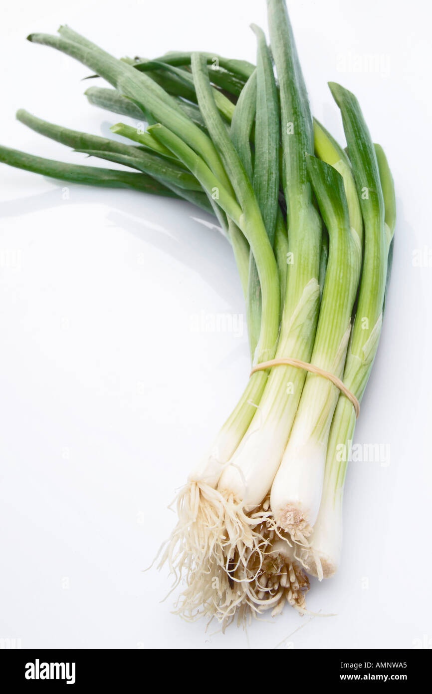 Spring onions, cut-out, white background Stock Photo - Alamy