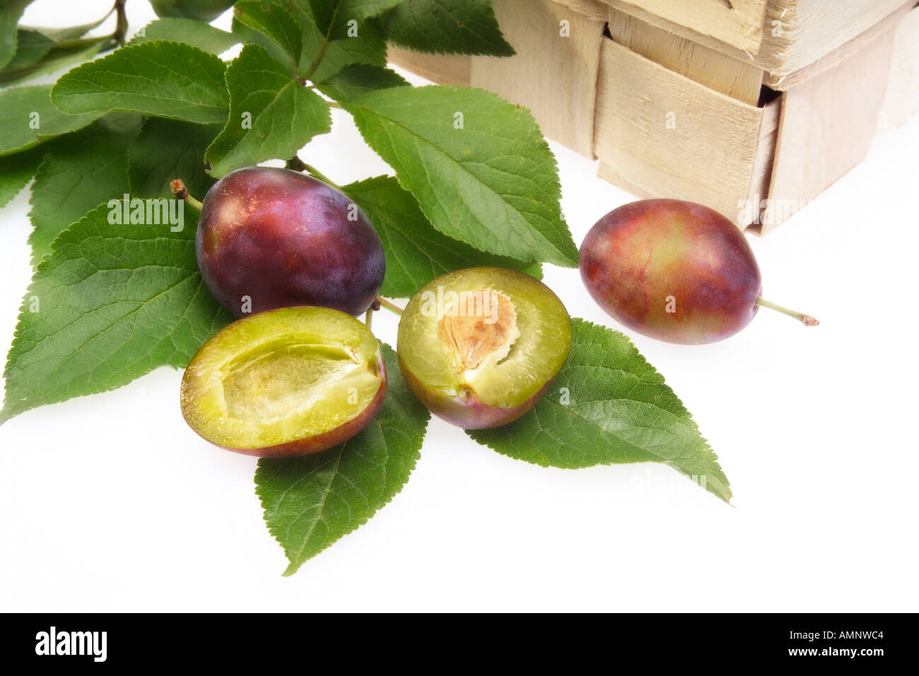 plums, cut-out, white background Stock Photo - Alamy